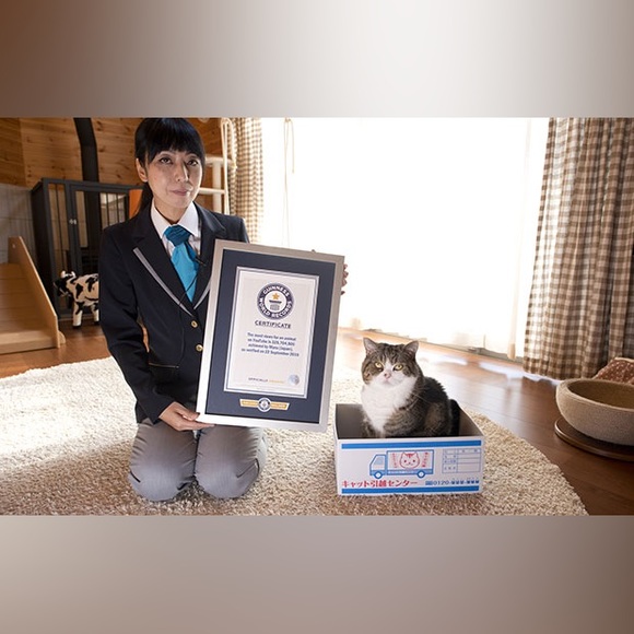 Daiso | Party Supplies | Motimaru Mochimaru Famous Japanese Cat Zipper ...